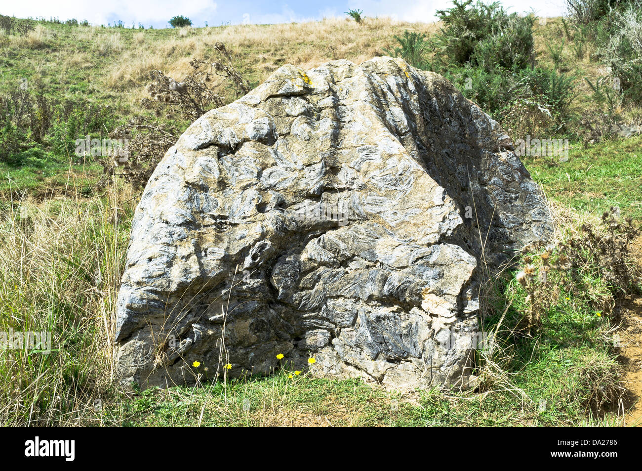 dh Mangapohue Natural Bridge WAITOMO NEW ZEALAND Limestone oyster shell ...