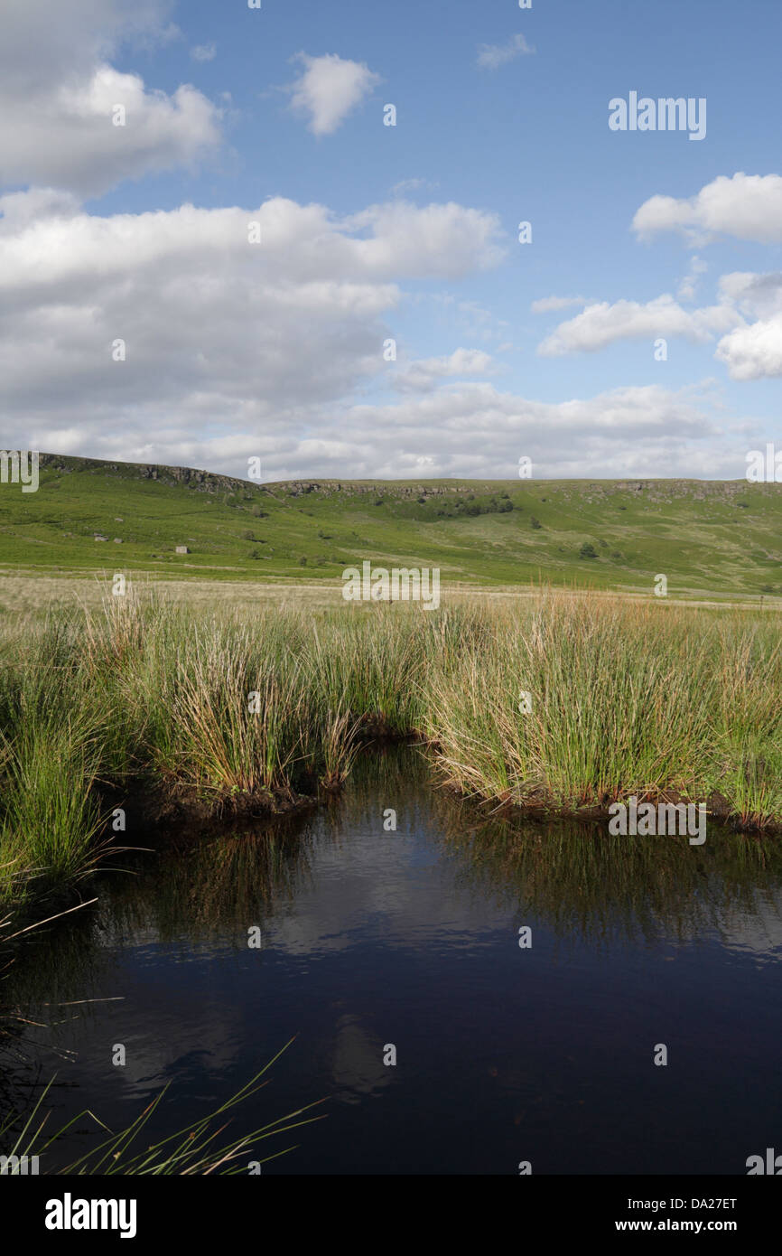 Moorland Pond Stanage edge background Stock Photo - Alamy