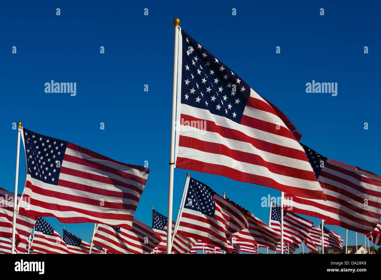 A display of many American flags with a sky blue background Stock Photo ...