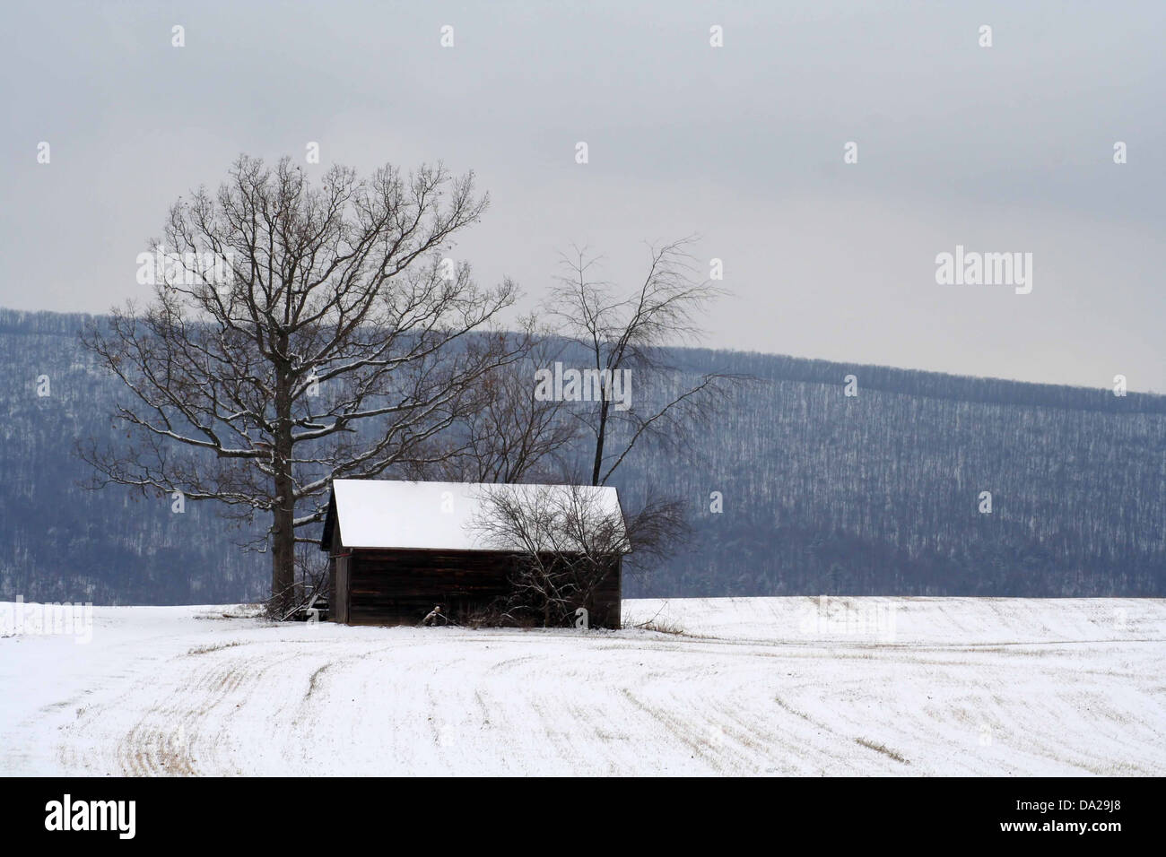 farm barn winter snow trees mountain rural country cold field fields ...