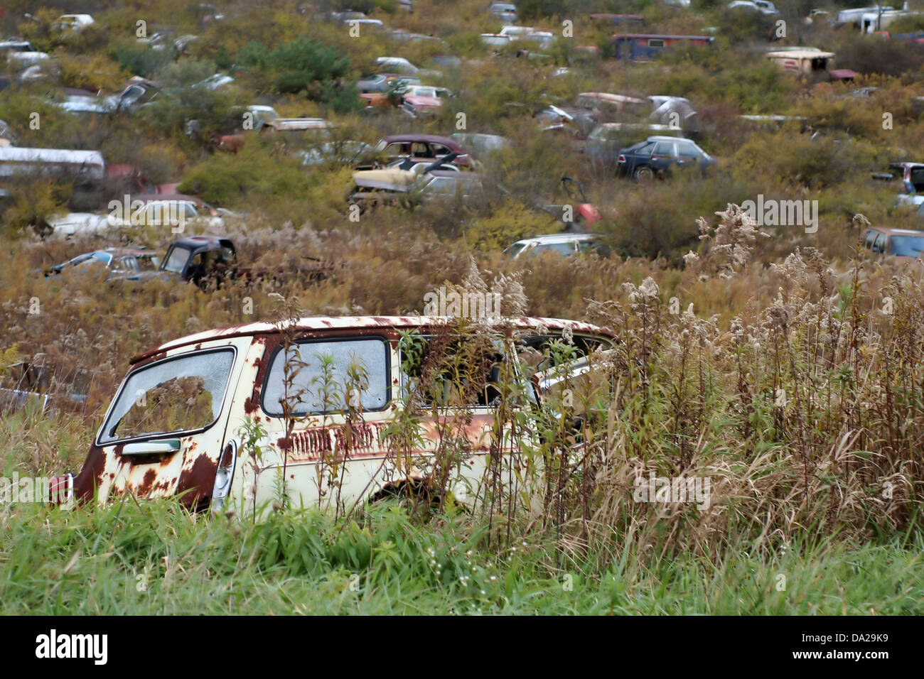 rust rusted rusty rusted old antique vintage car cars truck trucks vehicle vehicles auto ...