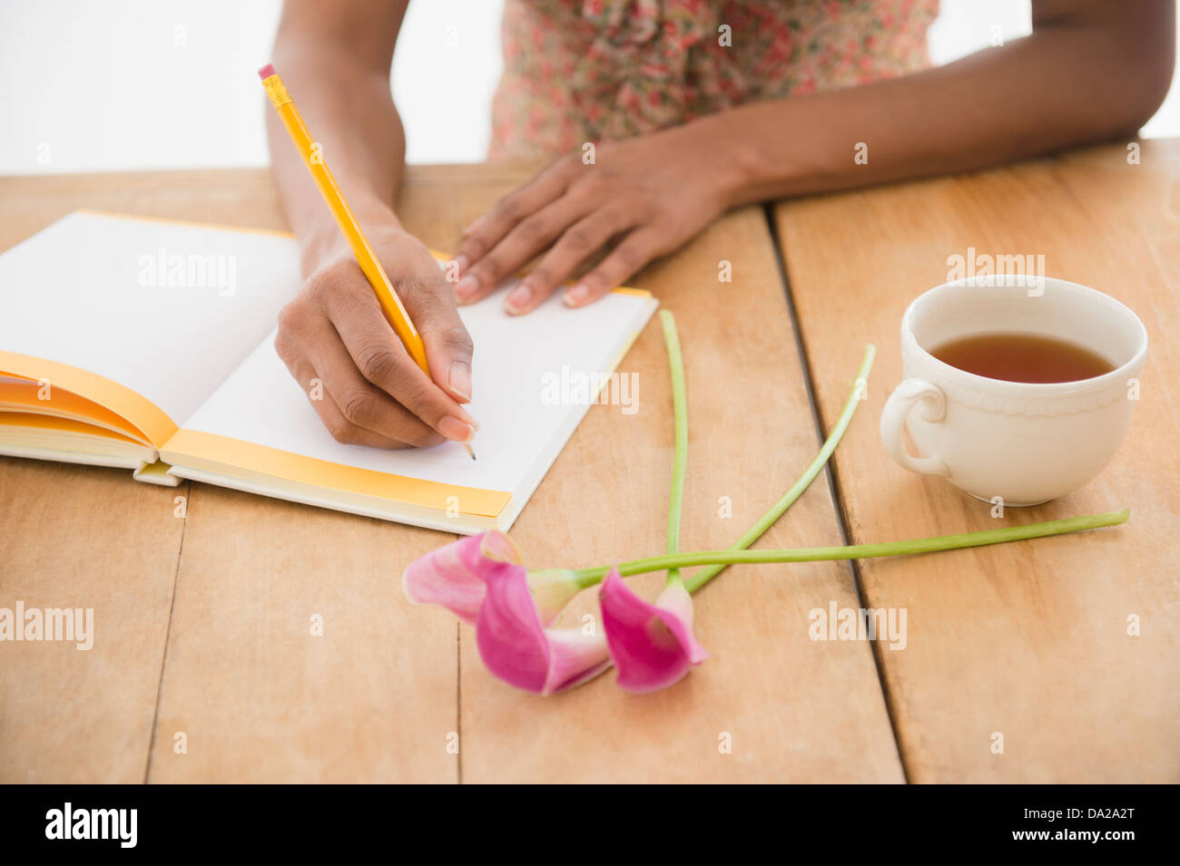 Woman writing diary hi-res stock photography and images - Alamy