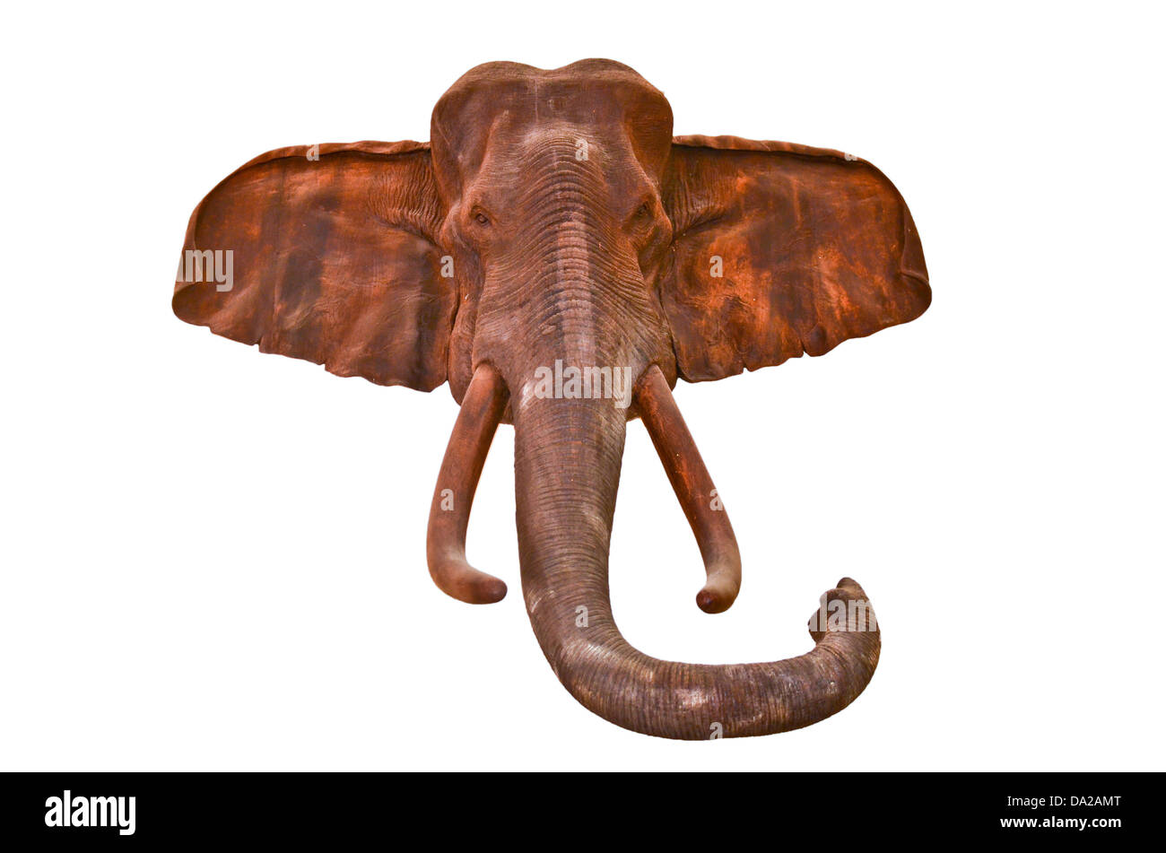 Elephant head Cut Out Stock Images & Pictures - Alamy