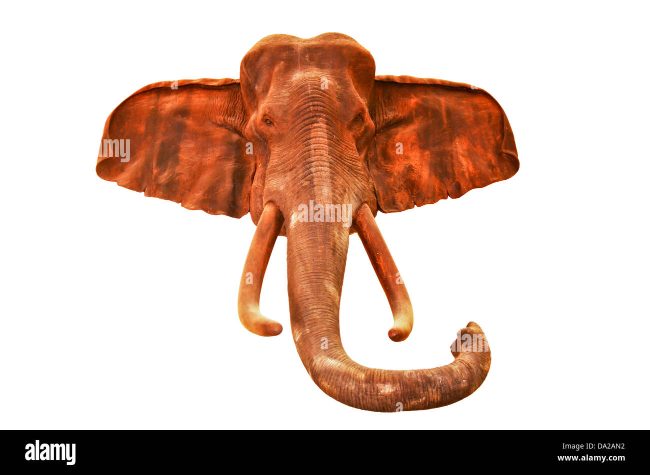 Portrait big african elephant Cut Out Stock Images & Pictures - Alamy