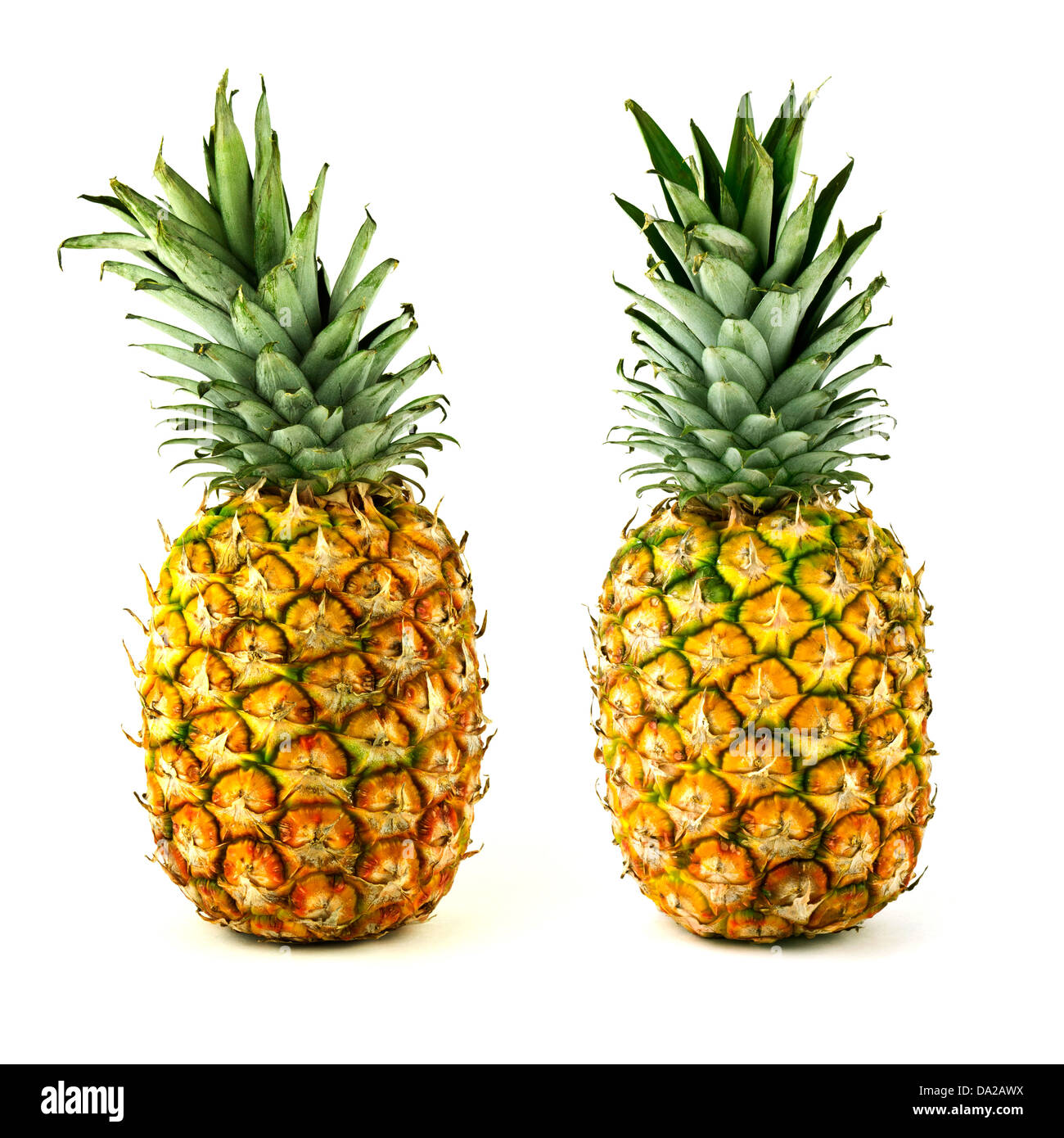 Two golden delicious tropical pineapple fruits isolated on white ...