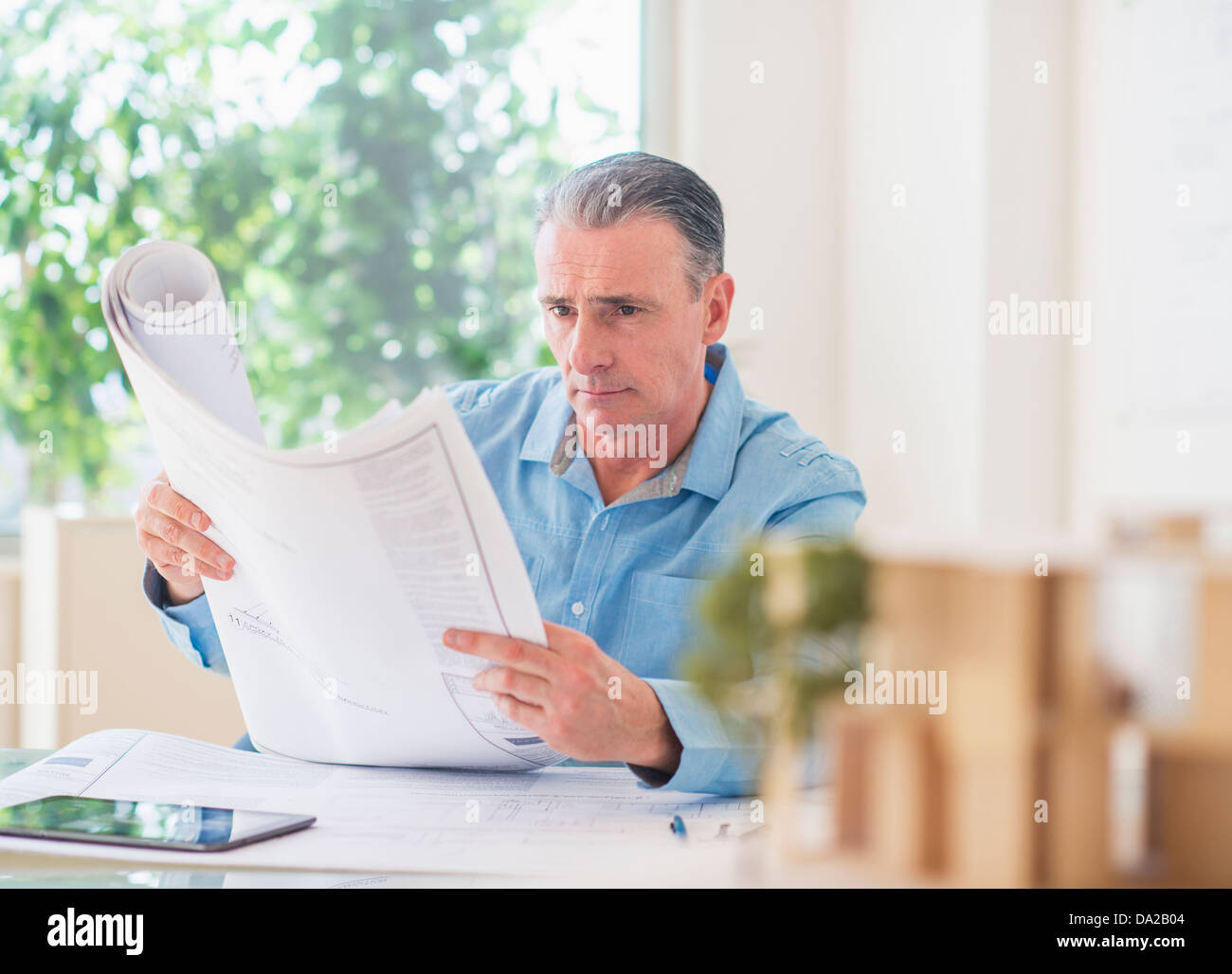 Portrait of man looking at blueprints in office Stock Photo - Alamy