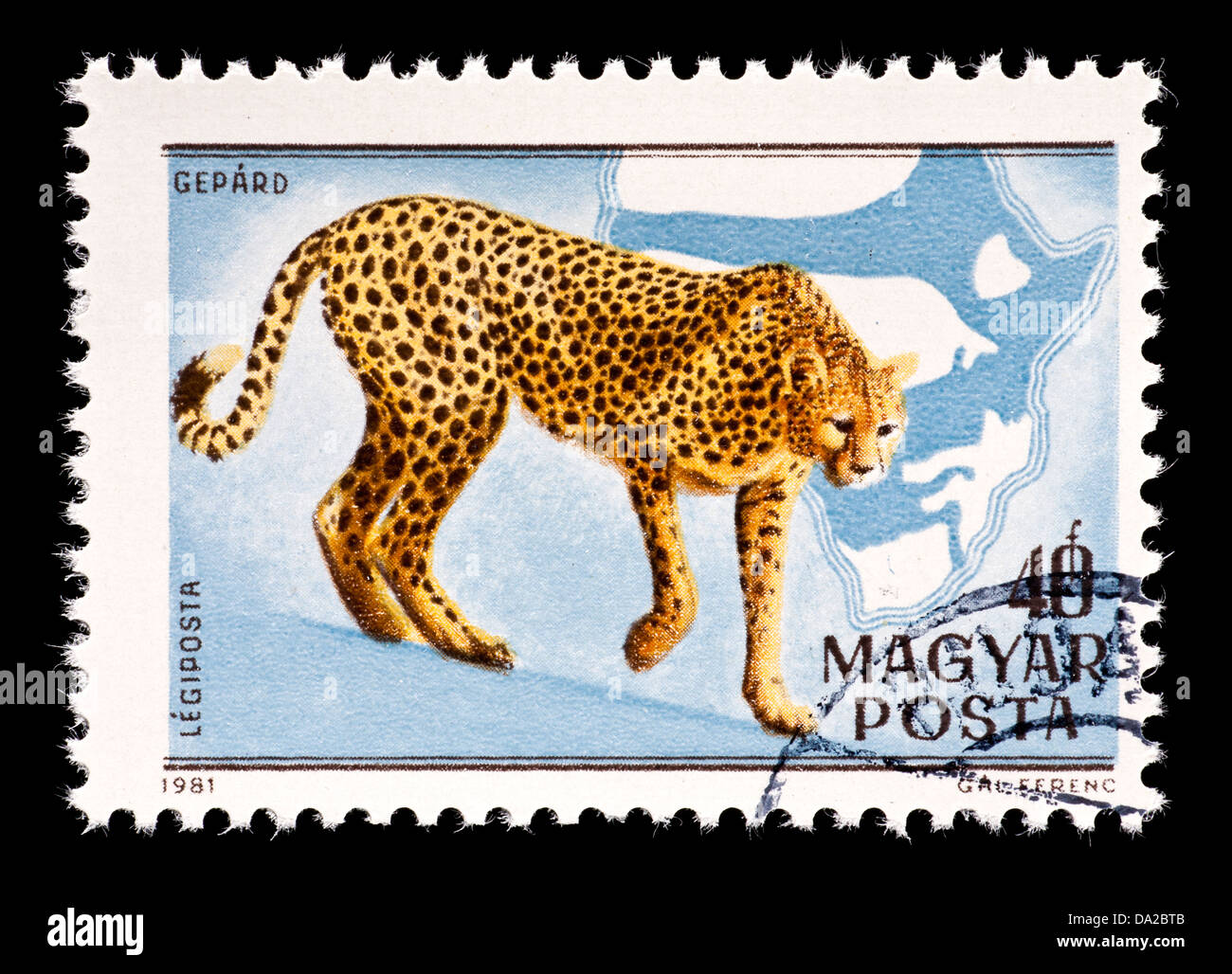 Postage stamp from Hungary depicting a leopard (Panthera pardus Stock ...