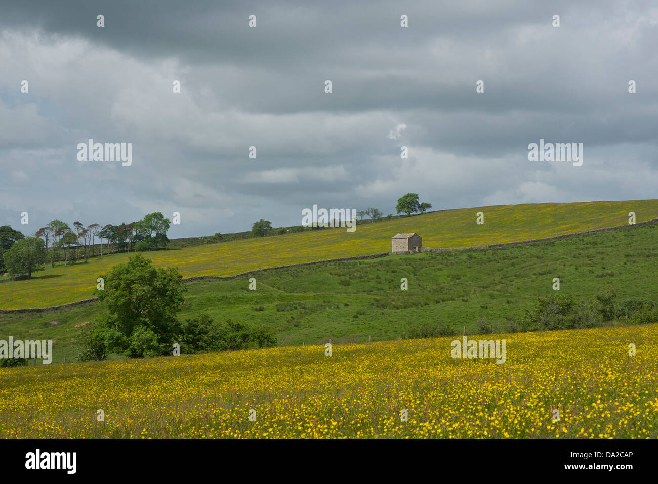 Farmland in North Stainmore, Cumbria, England UK Stock Photo - Alamy