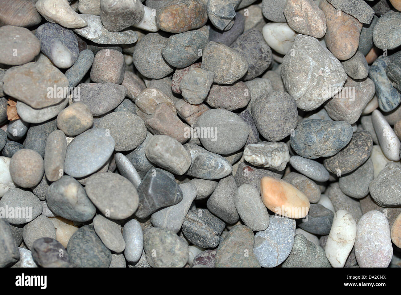 This is a small pebble on the beach, like nice background Stock Photo ...