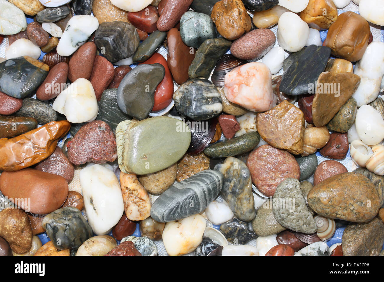 This is a small pebble on the beach, like nice background Stock Photo ...