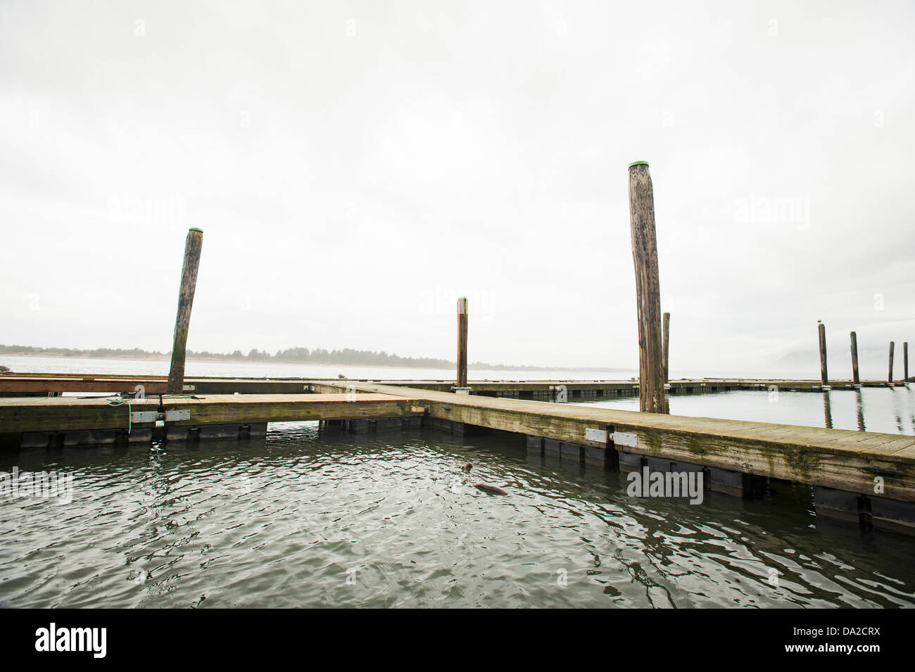Oregon jetty hi-res stock photography and images - Alamy