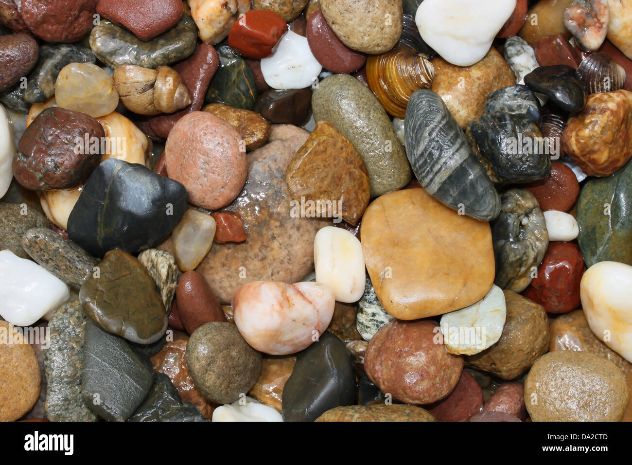 This is a small pebble on the beach, like nice background Stock Photo ...