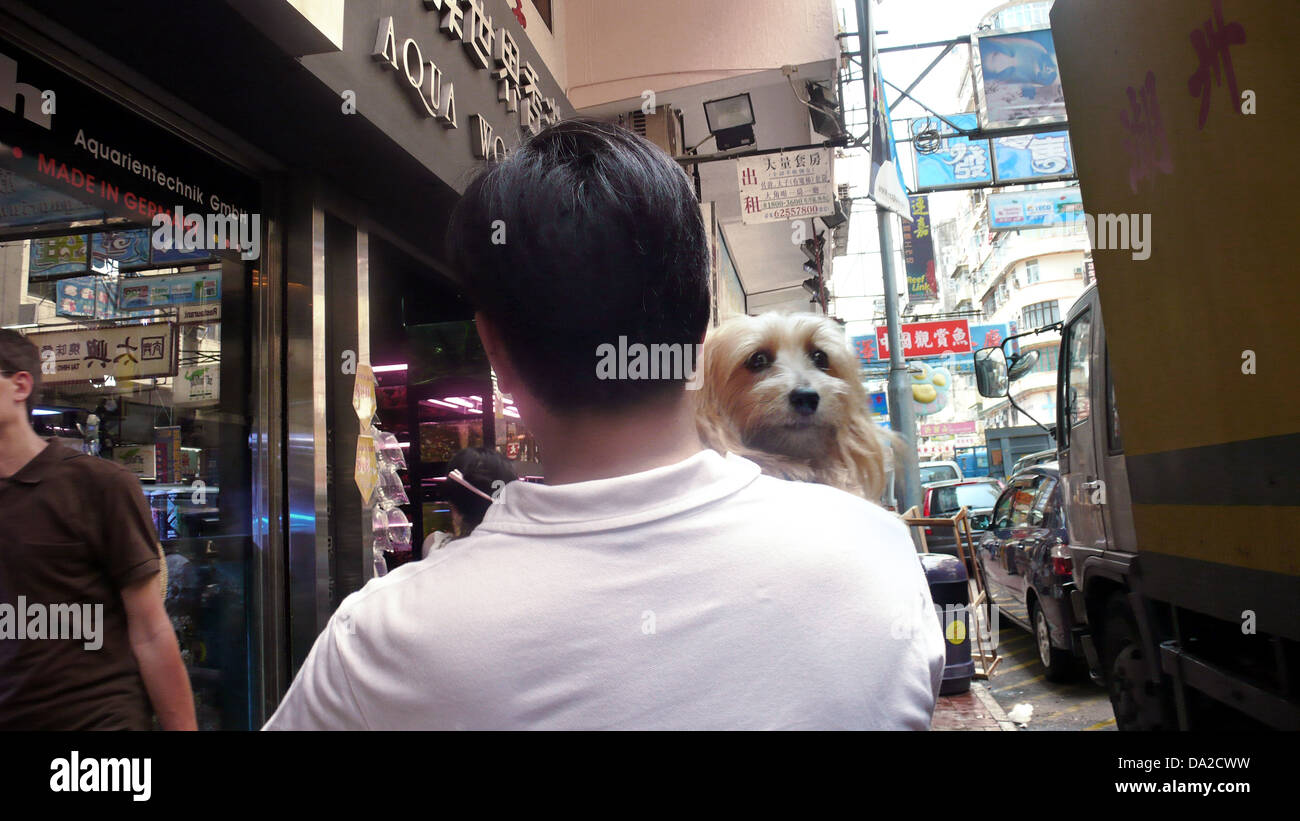 Man carrying a dog hi-res stock photography and images - Alamy