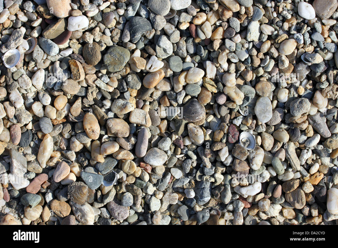 This is a small pebble on the beach, like nice background Stock Photo ...