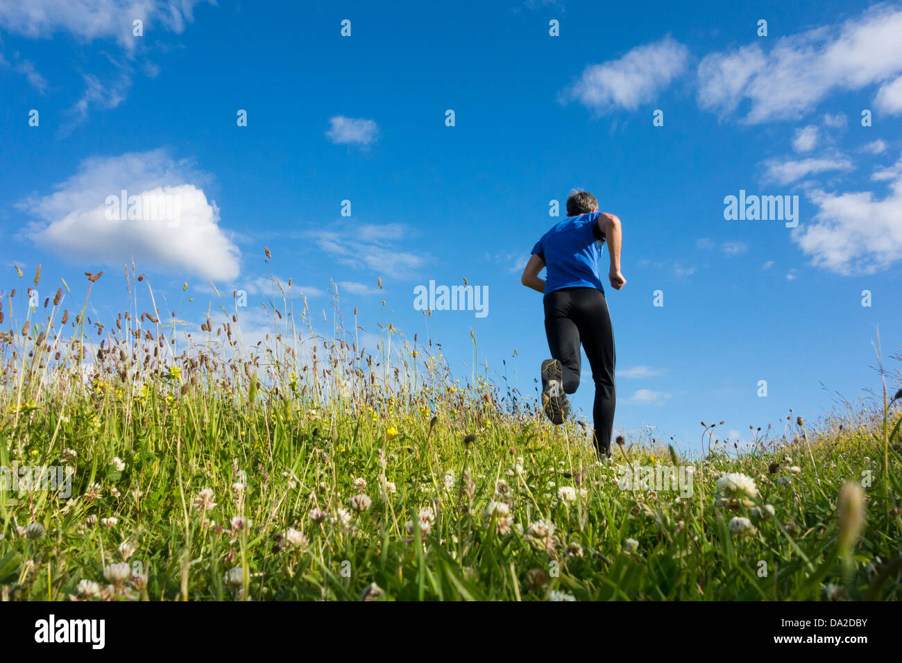 Low angle view of man running uphill on trail through wildflower meadow ...