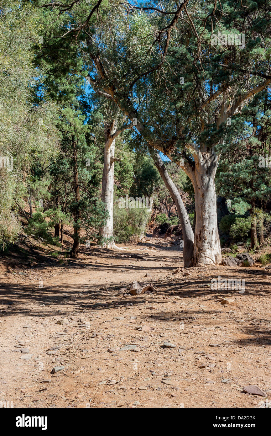 The ruggedly beautiful Flinders Ranges in the Australian outback Stock ...