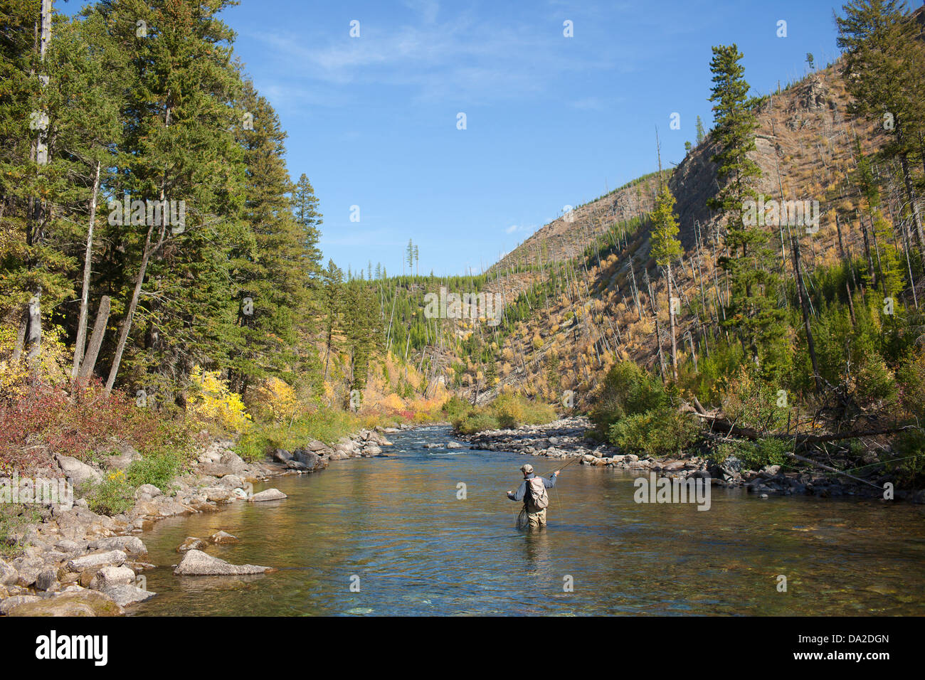 Montana Fishing Blackfoot High Resolution Stock Photography and Images ...