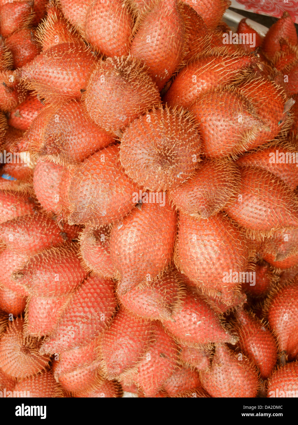 Salak, tropical sweet Thai fruit in Thai local market. The scientific ...