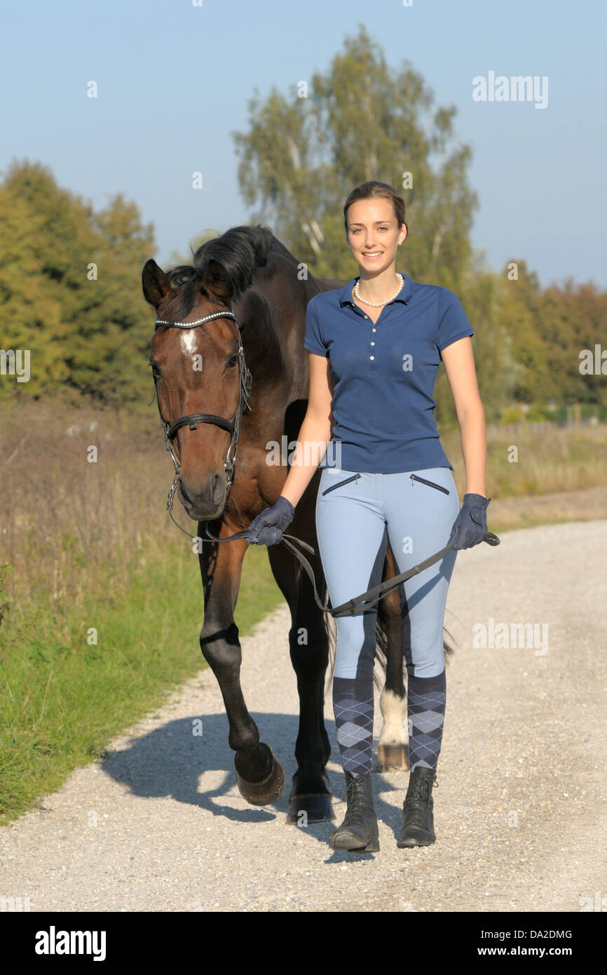 Leading horse hi-res stock photography and images - Alamy