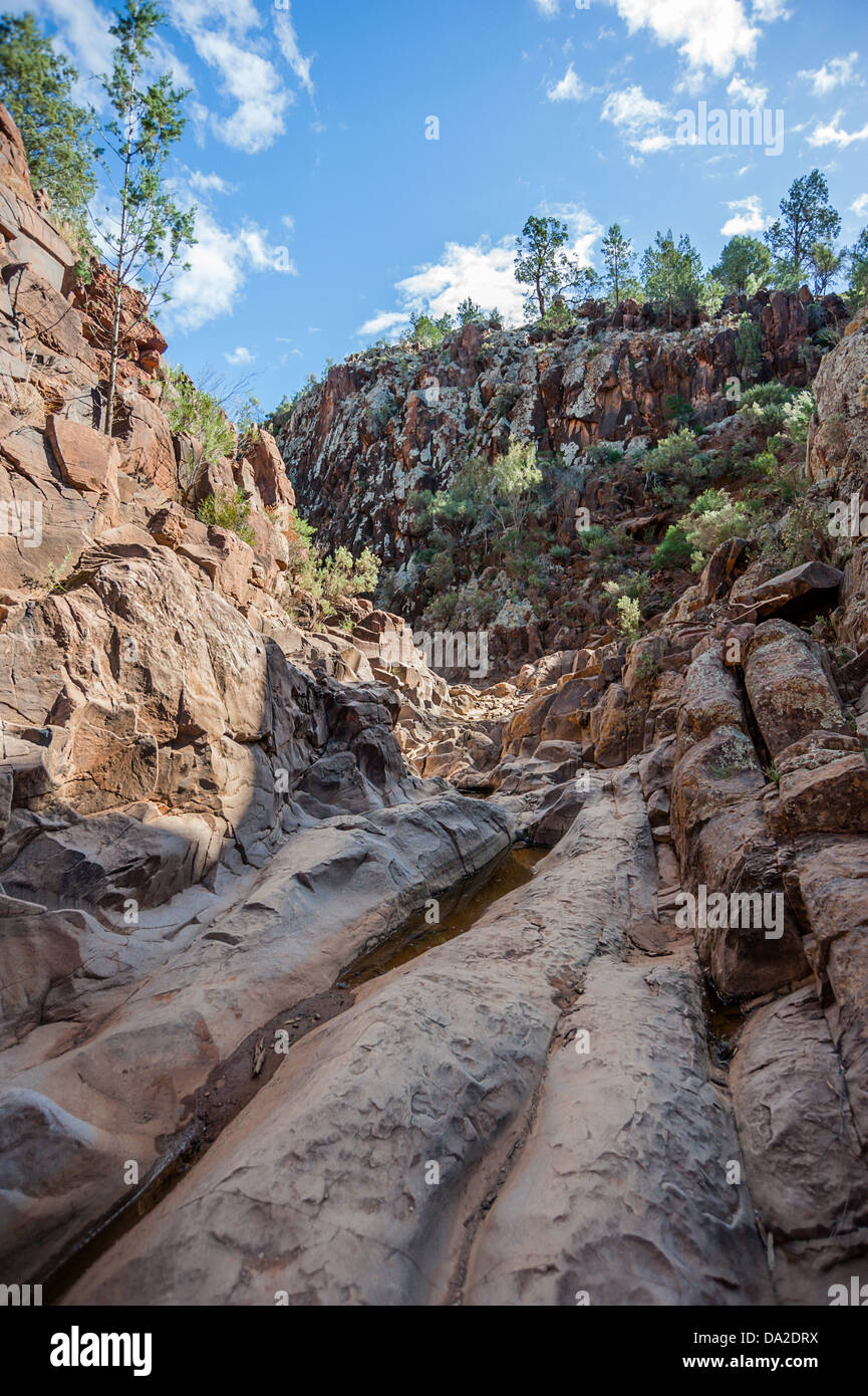 Sacred Canyon in the ruggedly beautiful Flinders Ranges in the ...