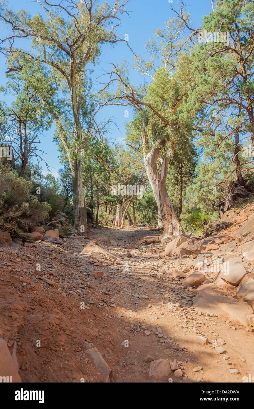 South Australia's ruggedly beautiful Flinders Ranges Stock Photo - Alamy