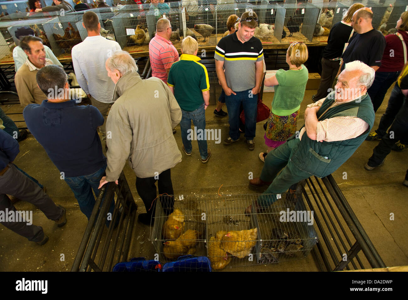 Poultry auction at monthly farmers market in Malton Ryedale North ...