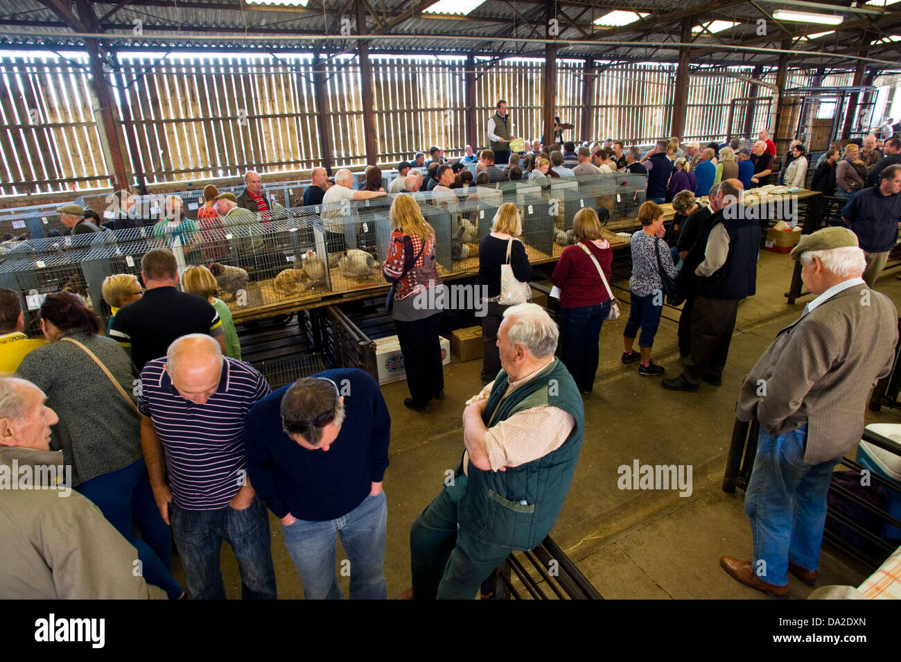 Bidders and auctioneers hi-res stock photography and images - Alamy