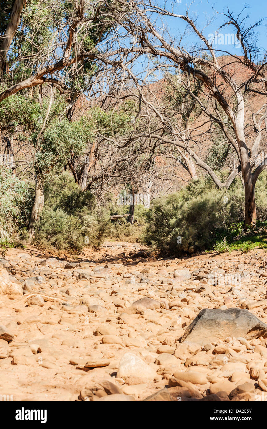 The ruggedly beautiful Flinders Ranges in the Australian outback Stock ...