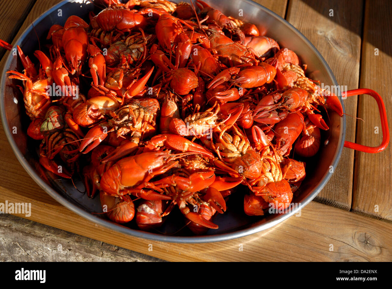 Crayfish, Cooked Crayfish Stock Photo - Alamy
