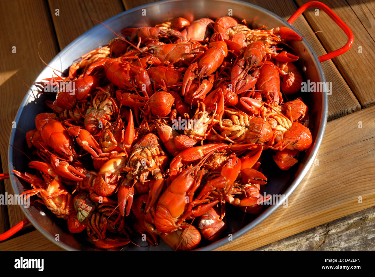 Crayfish, Cooked Crayfish Stock Photo - Alamy