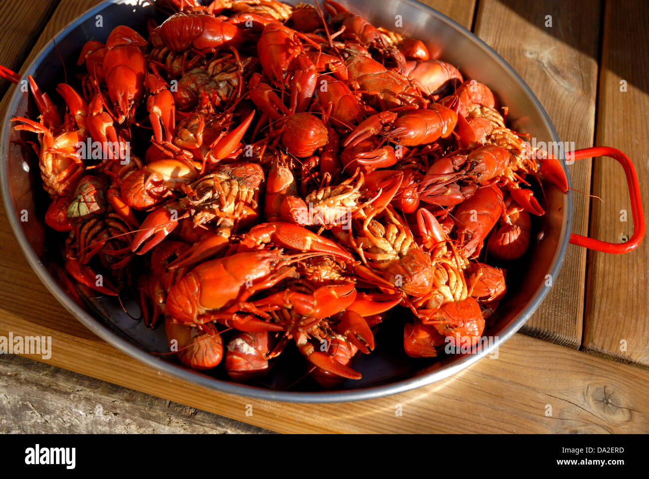 Crayfish, Cooked Crayfish Stock Photo - Alamy