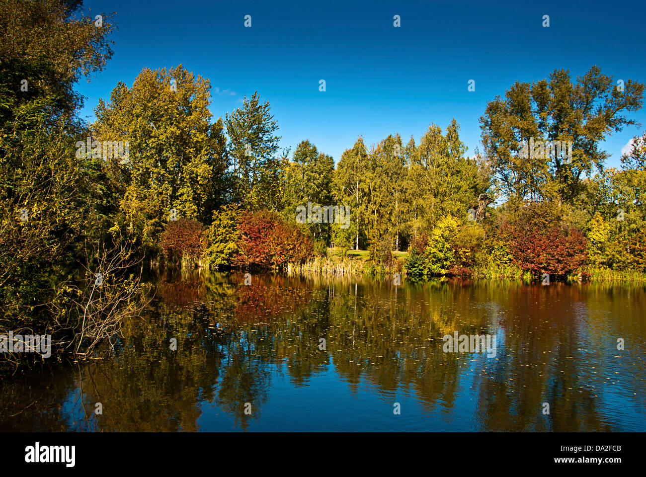 Idyllic lake landscape hi-res stock photography and images - Alamy