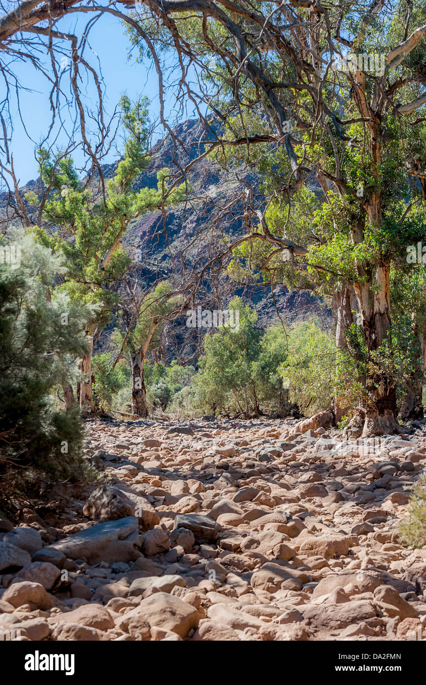 The ruggedly beautiful Flinders Ranges in the Australian outback Stock ...