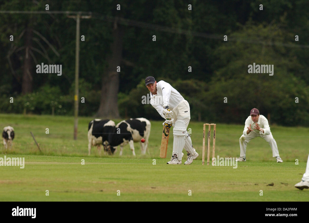 Welsh Frankton Cricket Club, Hardwick Hall, Shropshire, England Stock ...