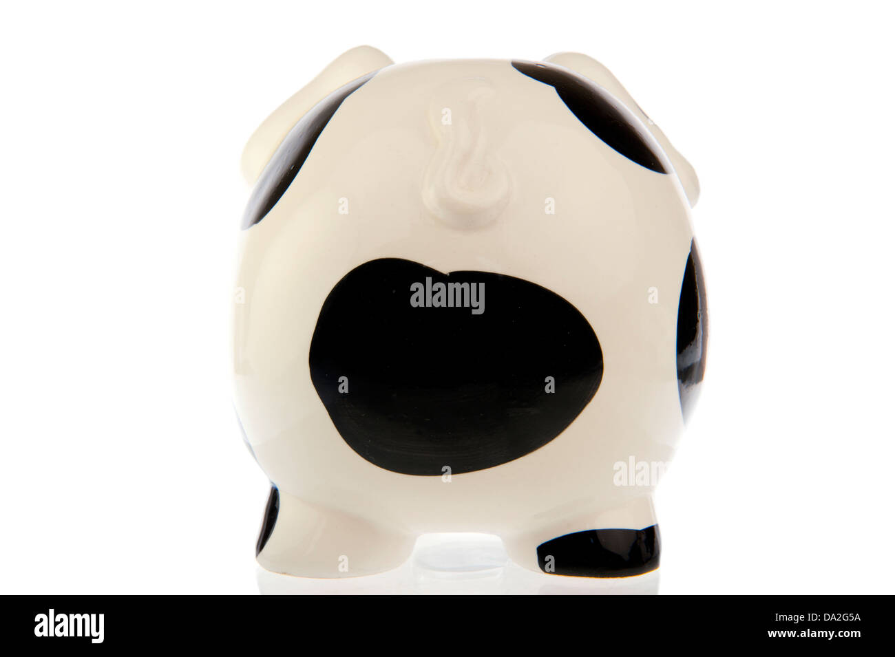 Pig with black and white cow spots and tail, from the rear end ...