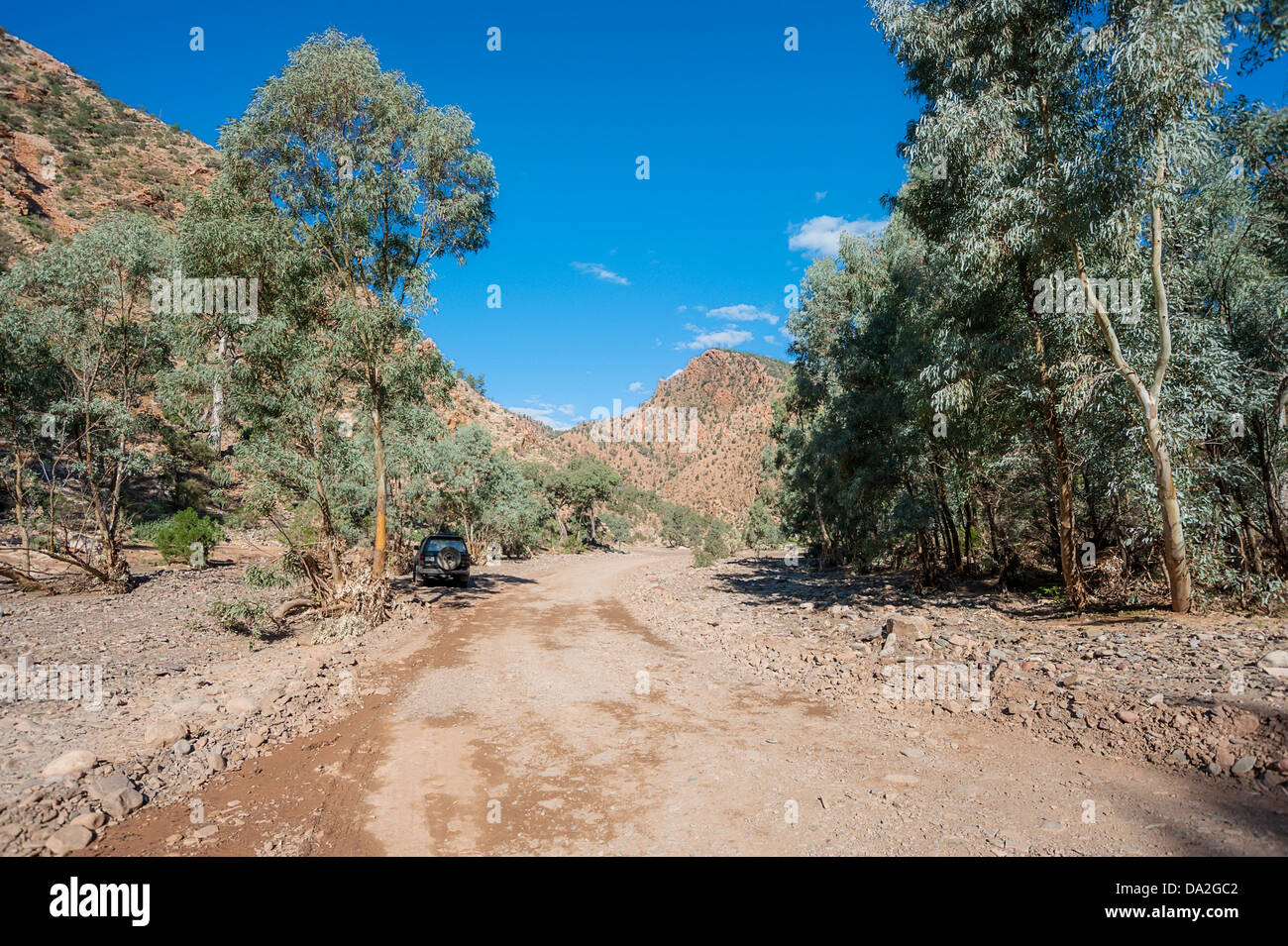 A dusty dirt outback road graded through a dry river bed in South ...