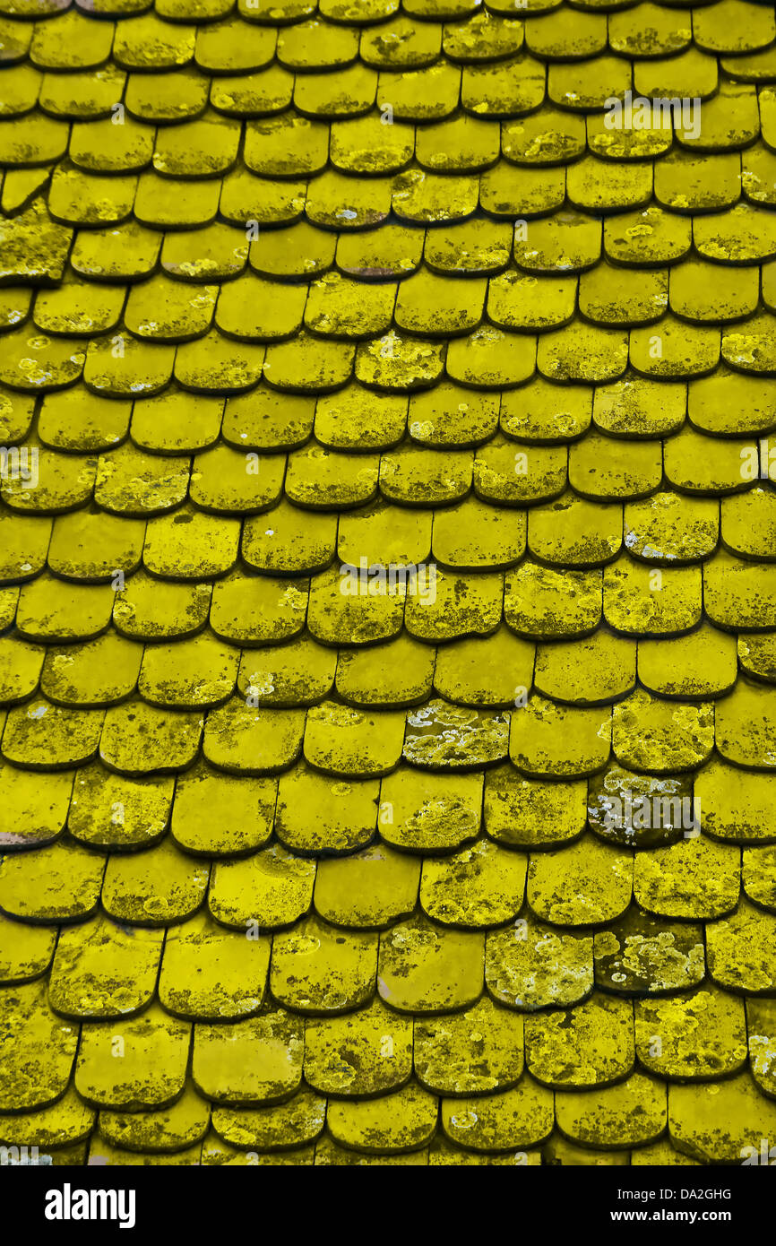 This is a background, from old yellow tile on the old roof Stock Photo ...