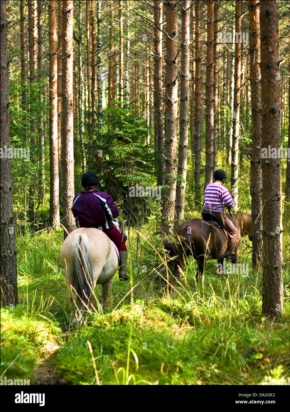 Female riders hi-res stock photography and images - Alamy