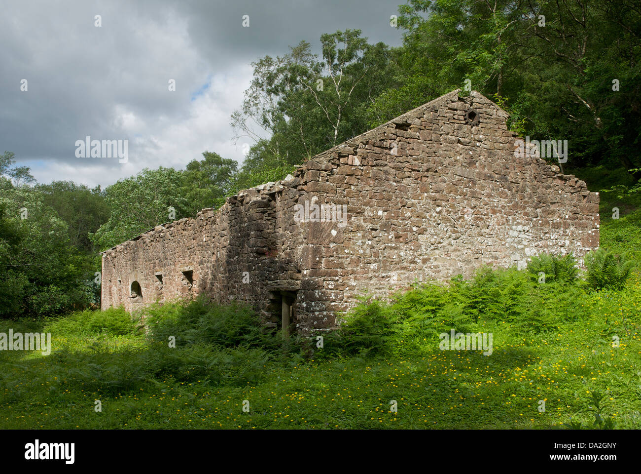 Lead smelt mill at Augill Pasture, a Cumbria Wildlife Trust nature ...