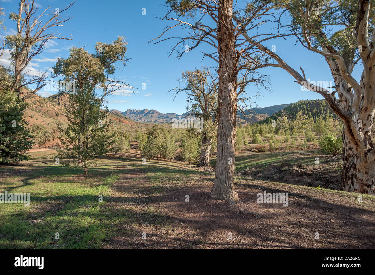 The ruggedly beautiful Flinders Ranges in the Australian outback Stock ...