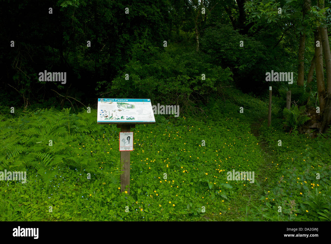 Information panel at Augill Pasture, a Cumbria Wildlife Trust nature ...