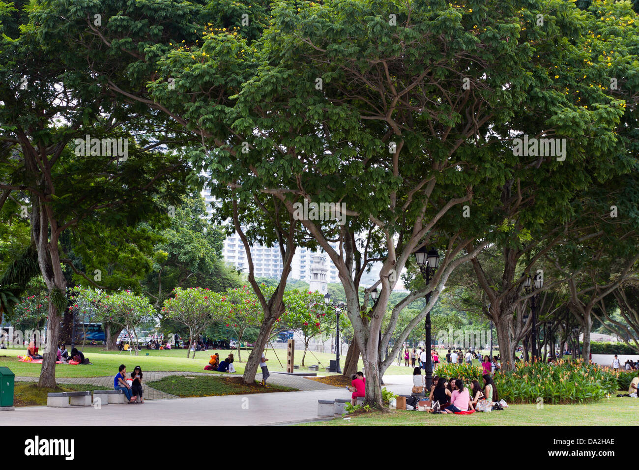 People sheltering in the shade of trees in Esplanade Park, Singapore ...