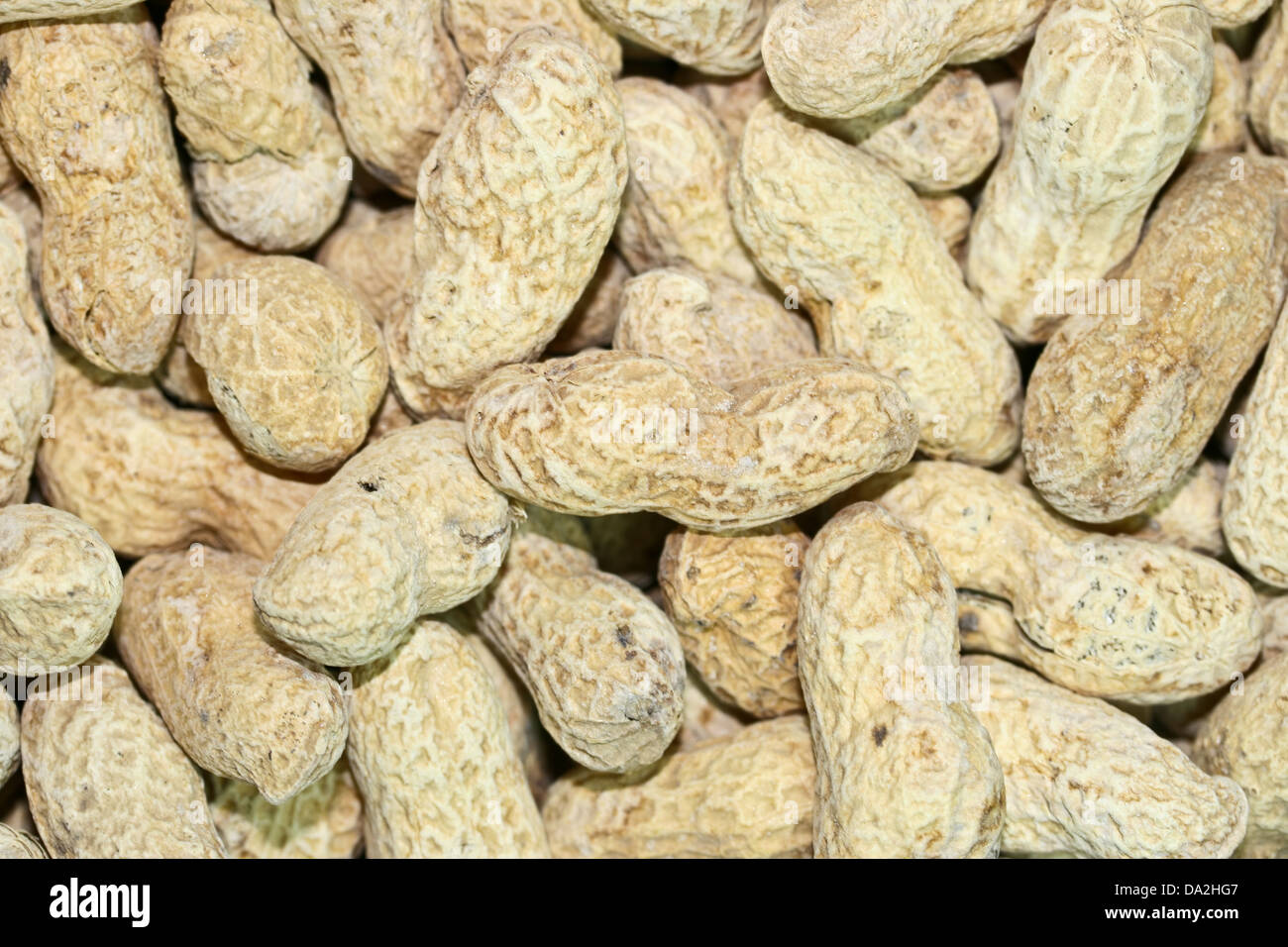 This is a group of three peanuts in shell like nice background Stock ...