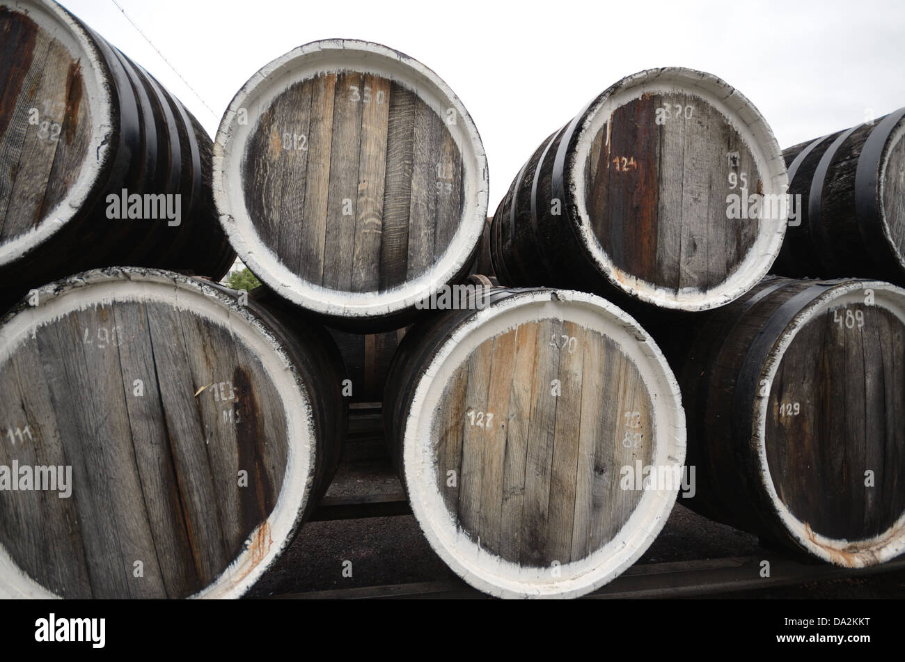 Oak port port wine barrels in a row Stock Photo - Alamy