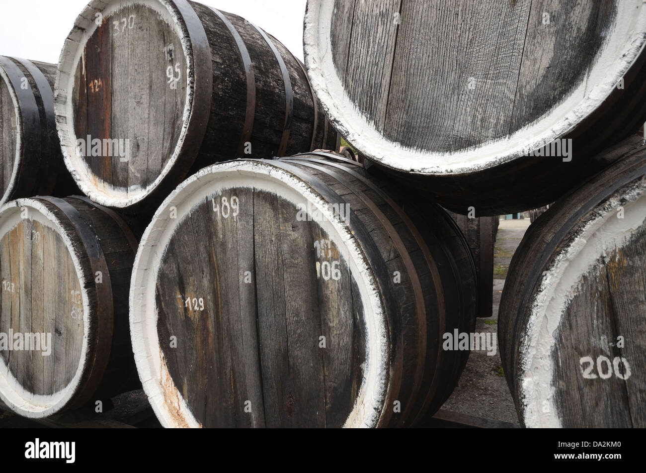 Oak port port wine barrels in a row Stock Photo - Alamy