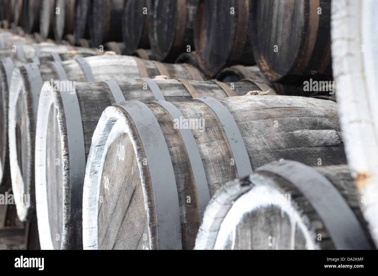 Oak port port wine barrels in a row Stock Photo - Alamy