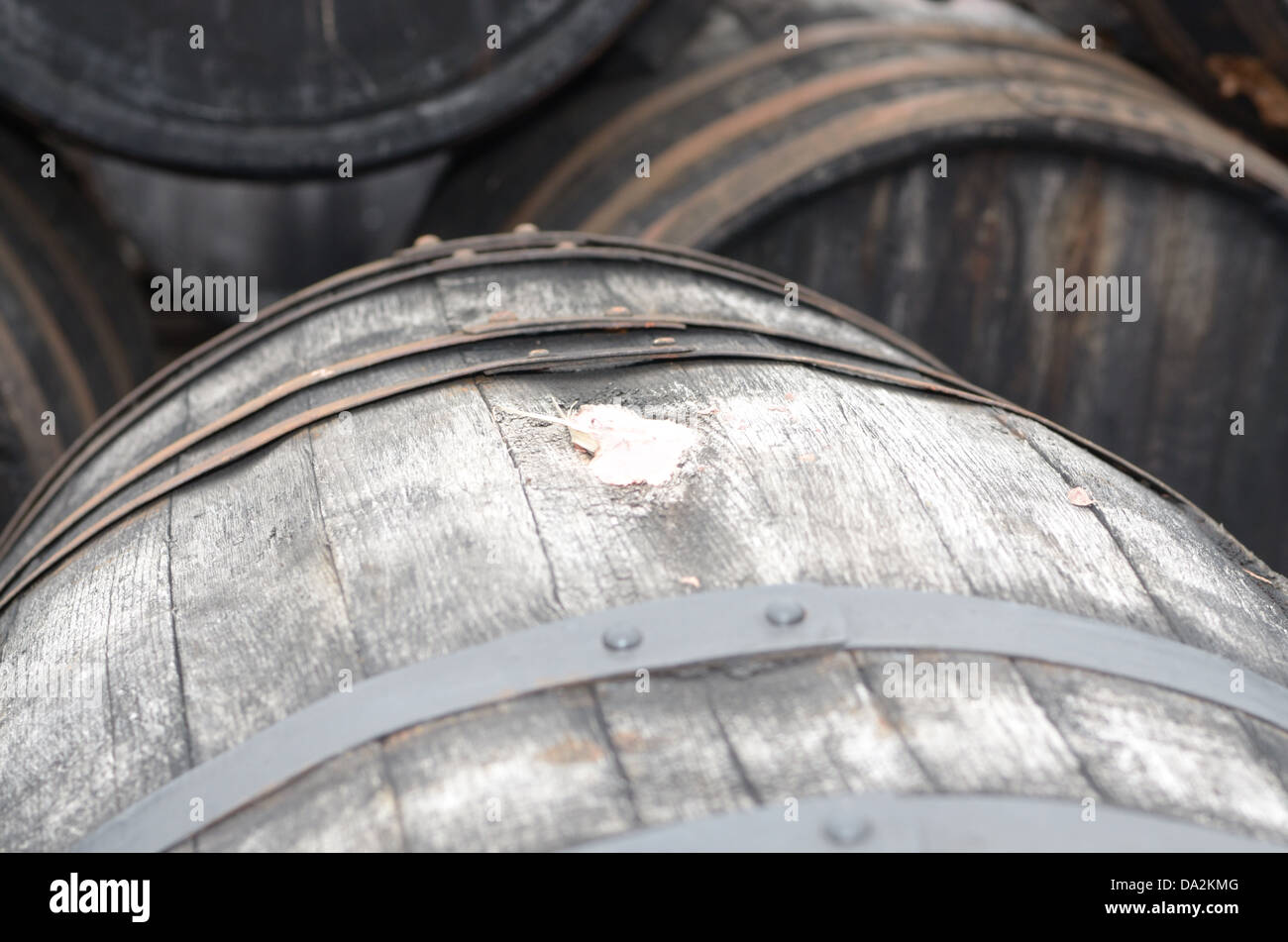 Oak port port wine barrels in a row Stock Photo - Alamy