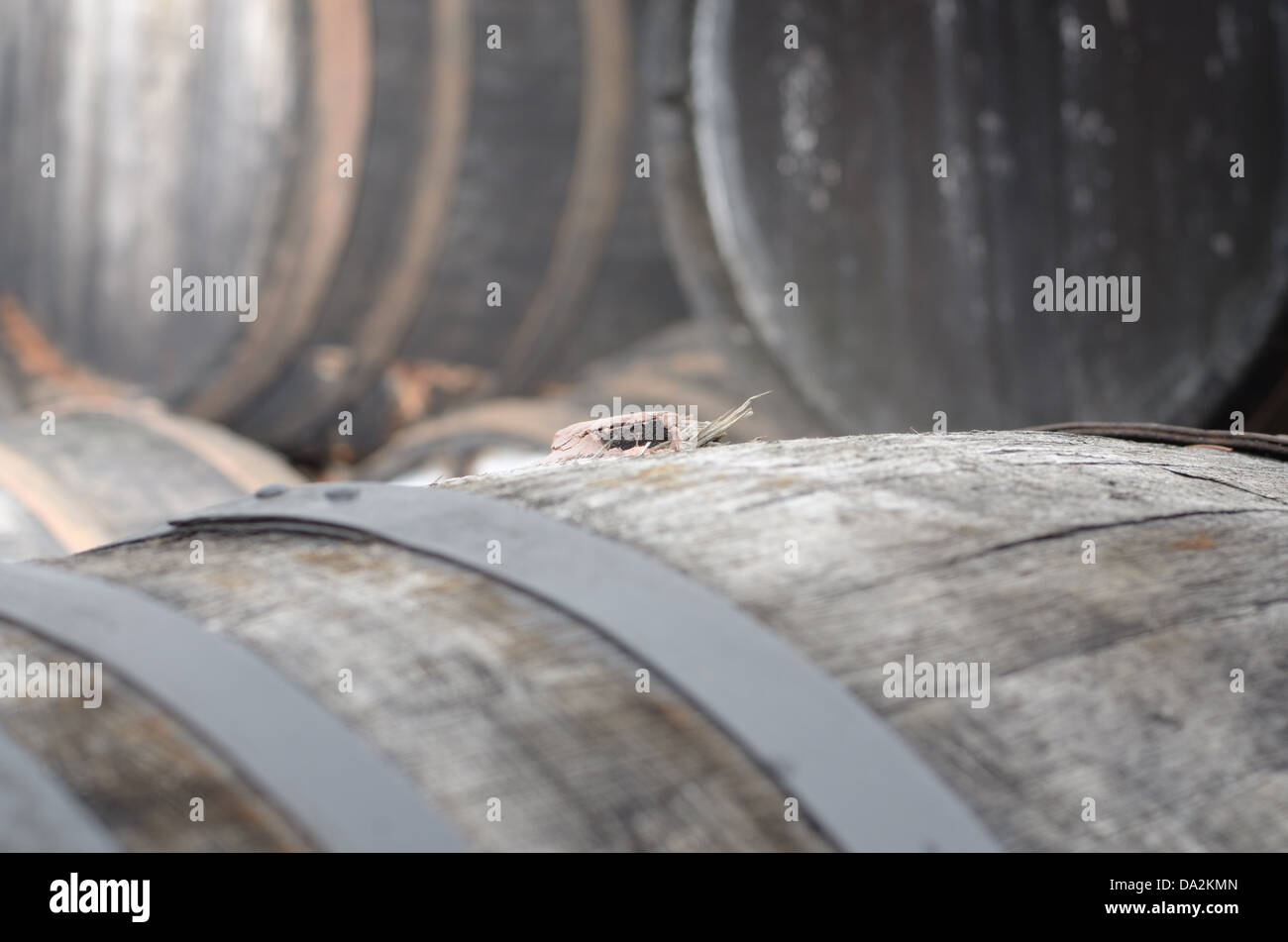 Oak port port wine barrels in a row Stock Photo - Alamy