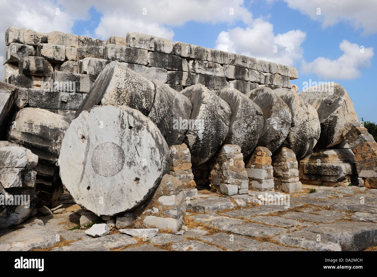 Fallen column cylinders - Temple of Apollo at Didyma (modern Didim ...