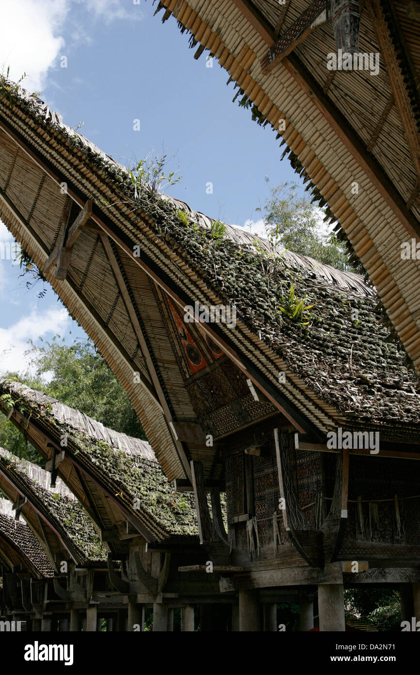 Traditional Torajan houses (tongkonan) in Kete Kesu vilage, Tona Toraja ...
